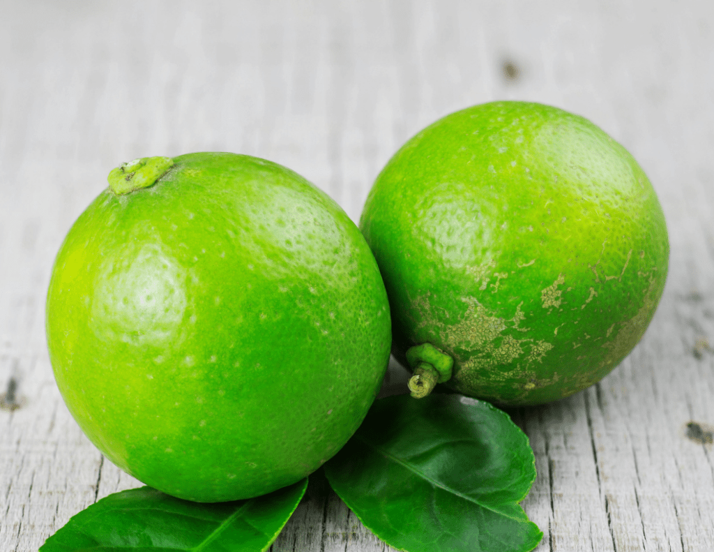 What To Expect In The First Trimester – The First 12 Weeks | Momma ...