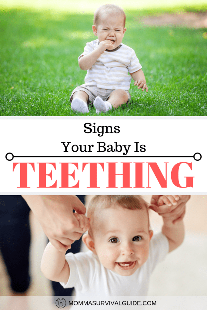 Is It Teething Time? – Signs That A Baby Is Teething | Momma Survival Guide
