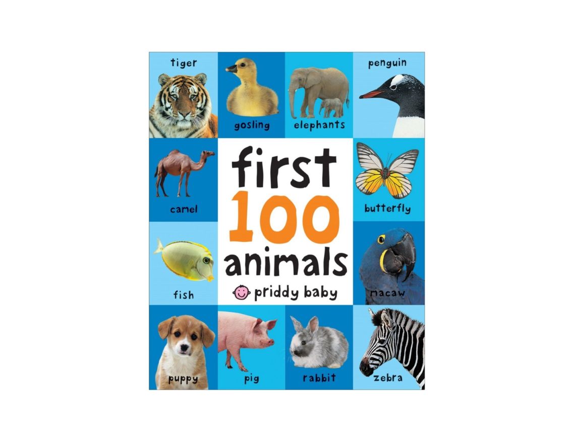 Children’s Books For Toddlers – Top 10 Starter Books | Momma Survival Guide